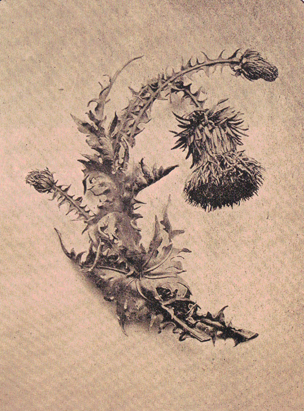 Nancy-Paris, Paris-Nancy -1 - Le Cercle Guimard